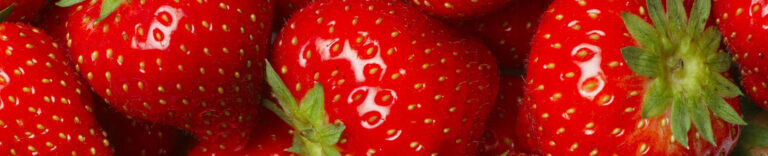 What We Offer - FlexFarming