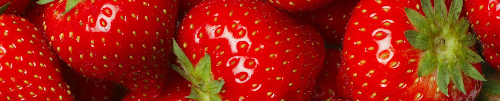 Privacy policy - FlexFarming