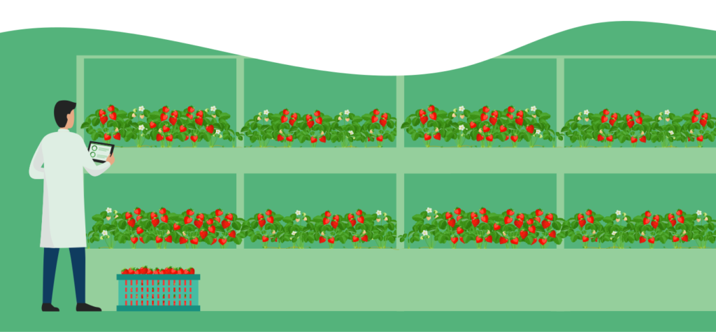 FlexFarming | Vertical Farming | British Strawberry Production